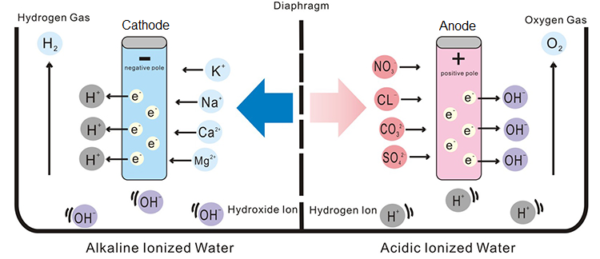What is Alkaline/ Ionized Water and its Effects and Guidelines - The ...