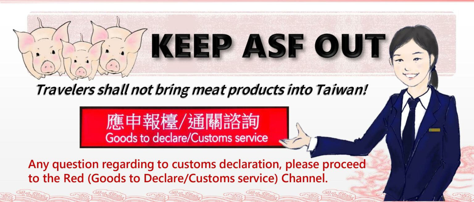 Arrival Procedure at Taiwan Taoyuan International Airport – The ...